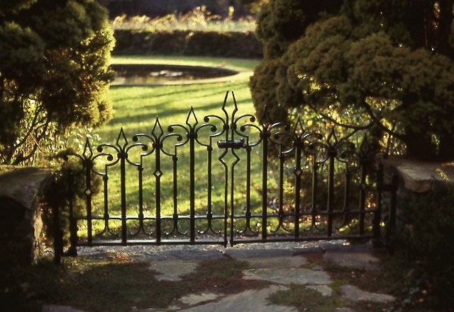 Ironwork Gallery at Wilson Forge | Douglas E Wilson | Blacksmith